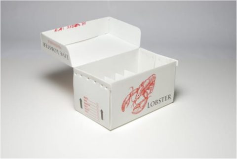 Partnership - SeaCa Packaging